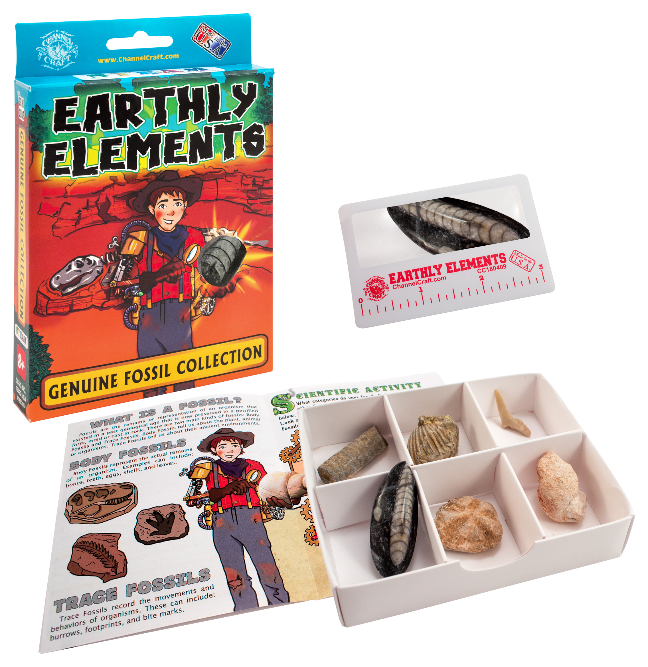Channel Craft Inc Earthly Elements Genuine Fossil Collection Kit | Bass ...